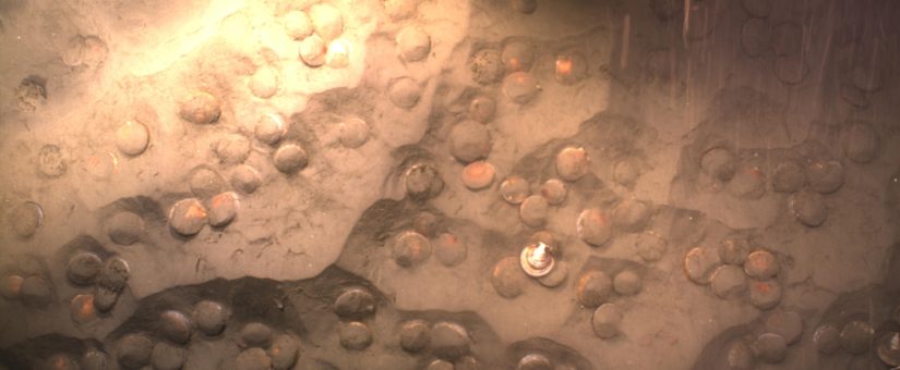 Marine Science – Electromechanica